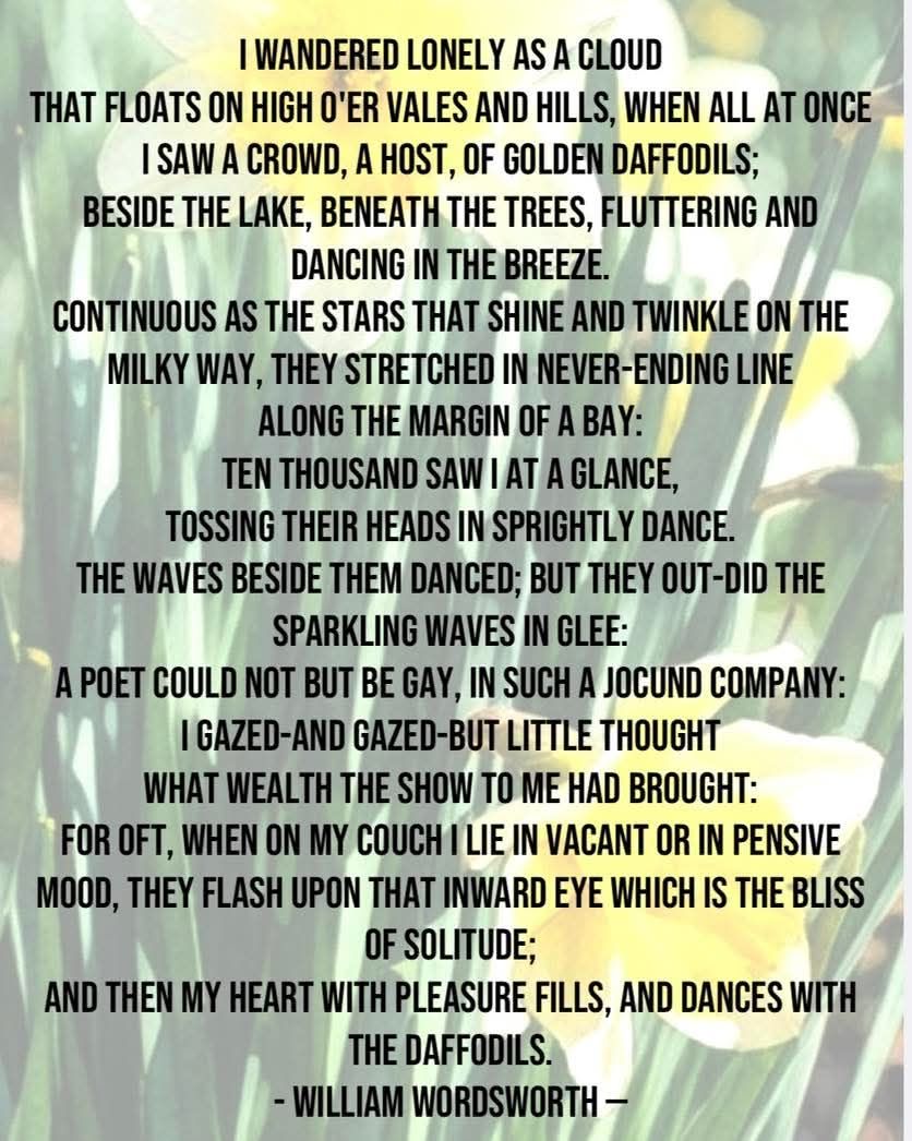 I Wandered – Beside the Woodheap